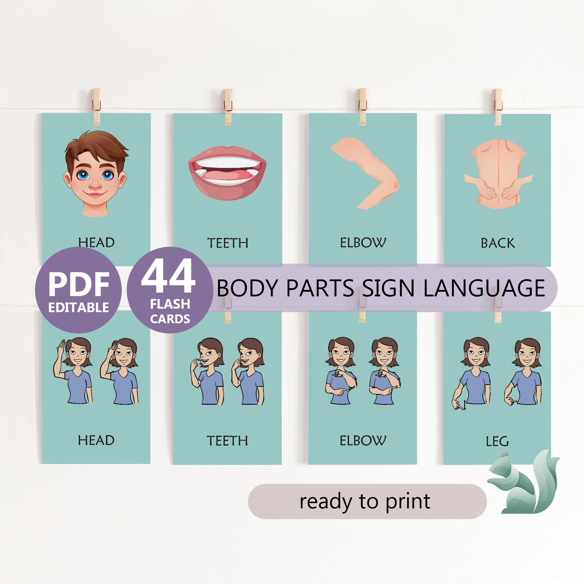 Body Parts Charts in Sign Language, American Sign Language Body Parts ...