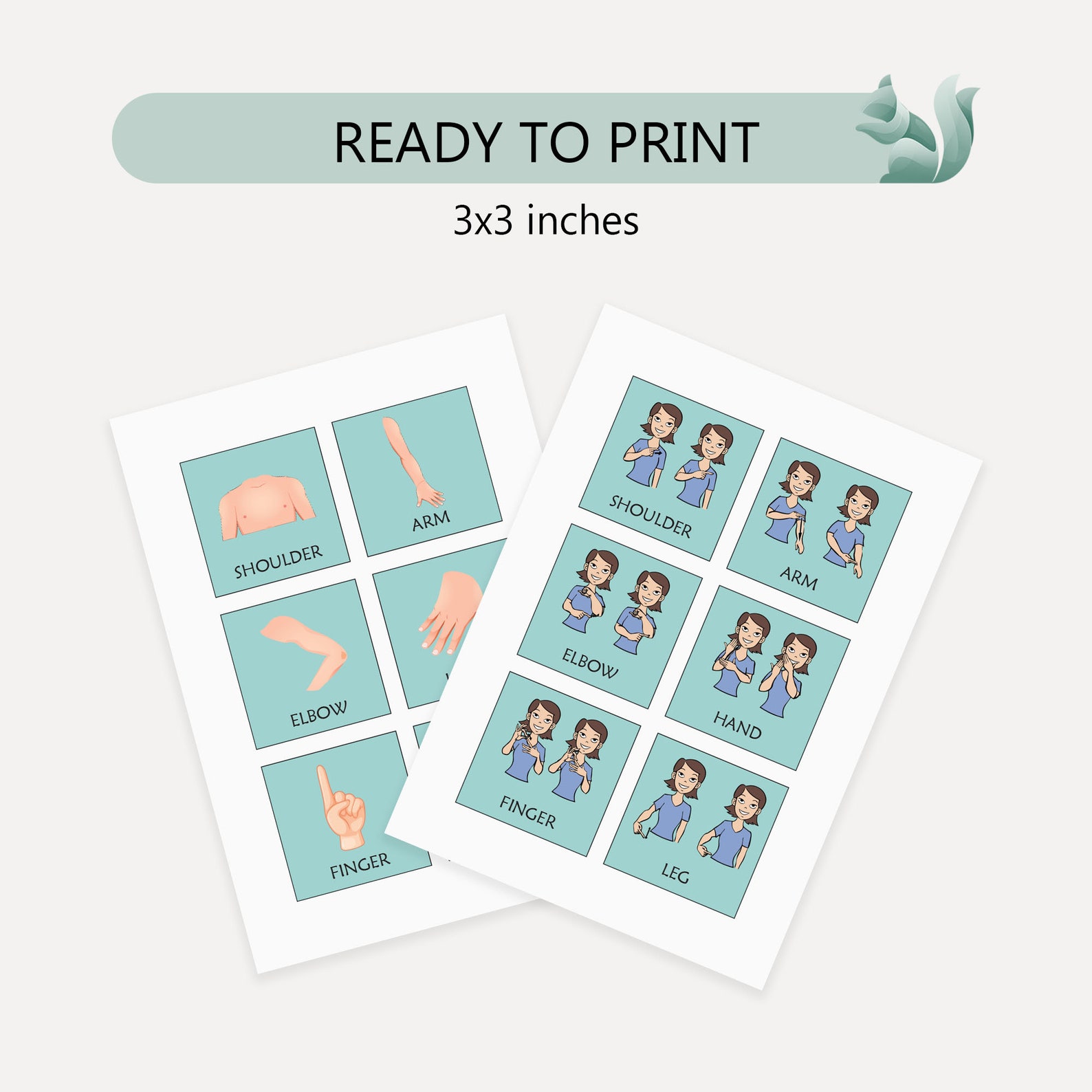 Body Parts Charts in Sign Language, American Sign Language Body Parts ...