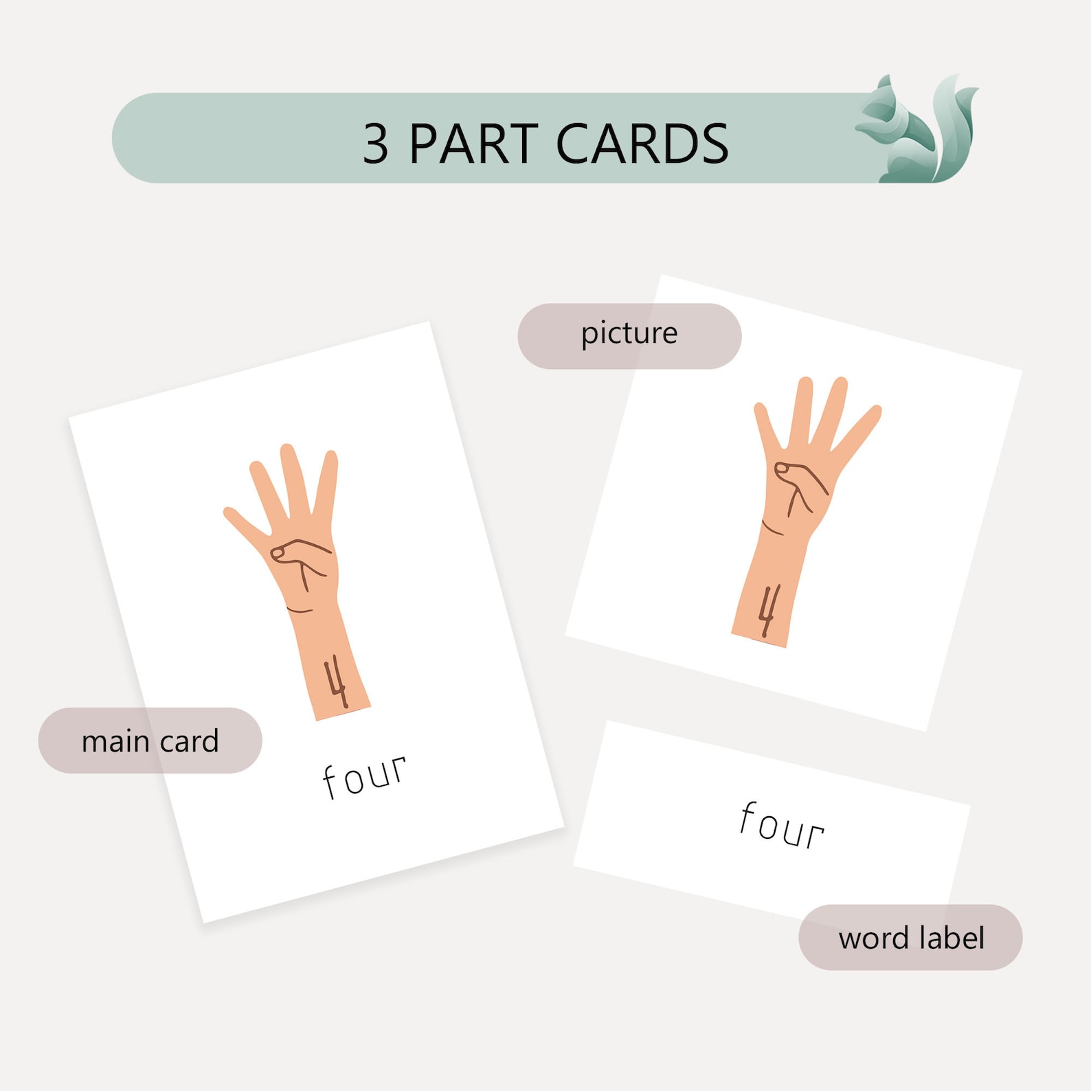 ASL Numbers Flashcards 0-10 for Learning, American Sign Language ...