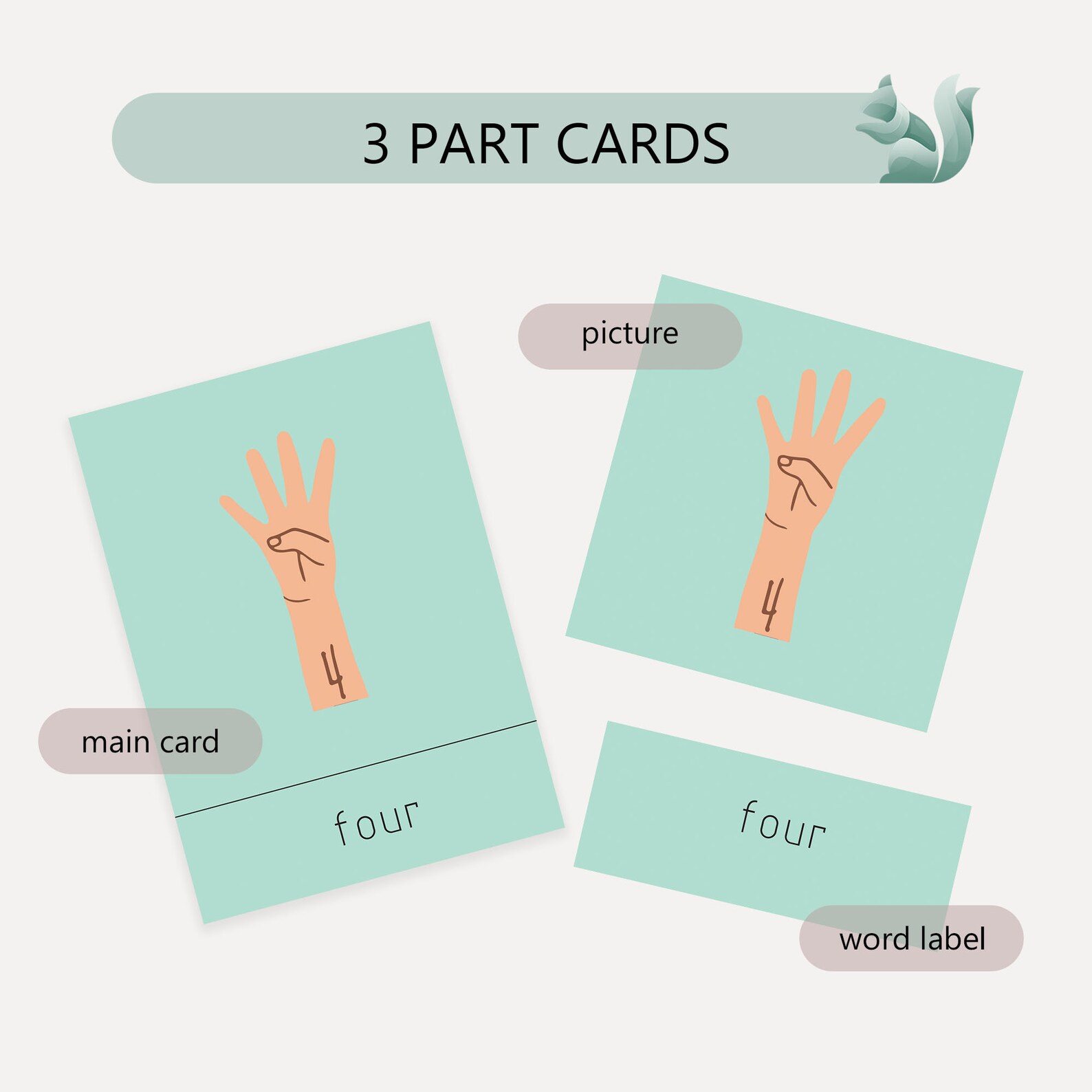 ASL Alphabet and Numbers Flashcards Set of 2, American Sign Language ...