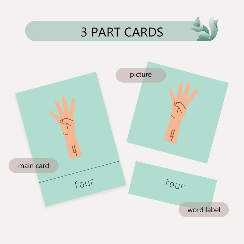 ASL Alphabet and Numbers Flashcards Set of 2, American Sign Language ...