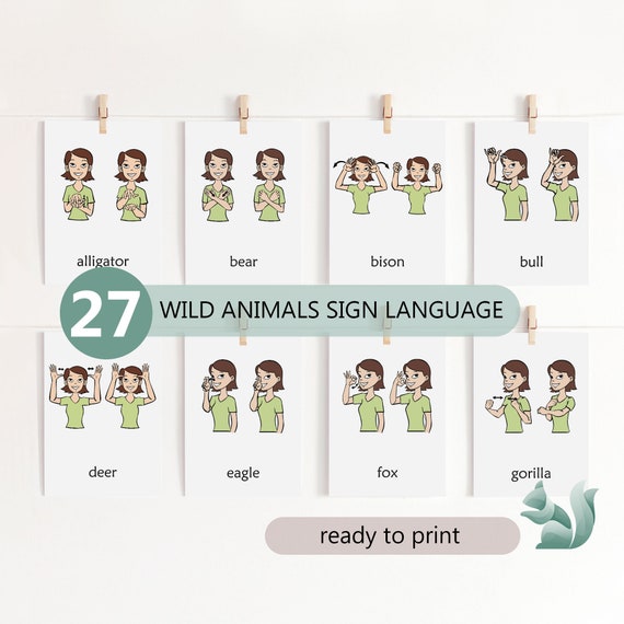 Primates Using Sign Language