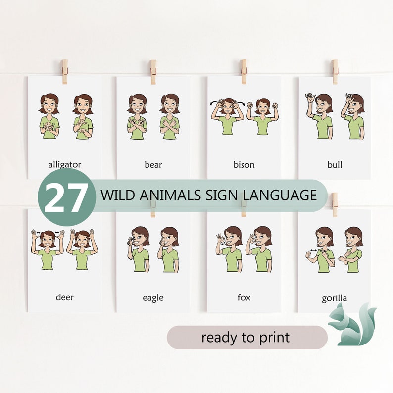 Wild Animals Sign Language Flash Cards, American Sign Language Animals ...