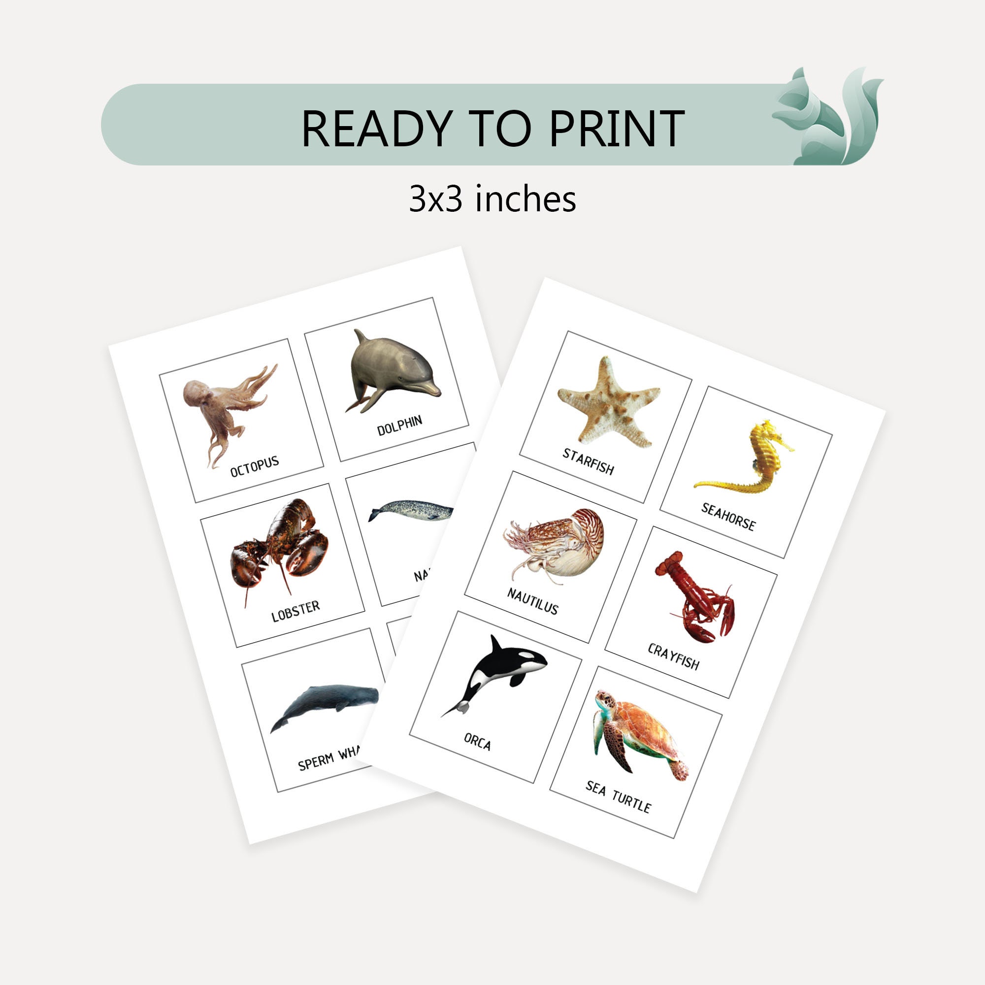 OCEAN ANIMALS Real Images - 30 Printable Flash Cards, Nomenclature ...