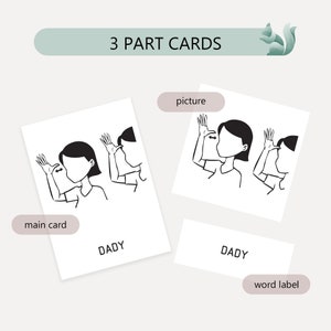 ASL Family Members & Stages Hand Signals With Images, American Sign ...