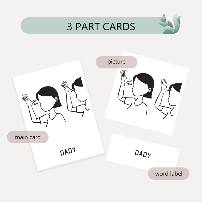 ASL Family Members & Stages Hand Signals With Images, American Sign ...