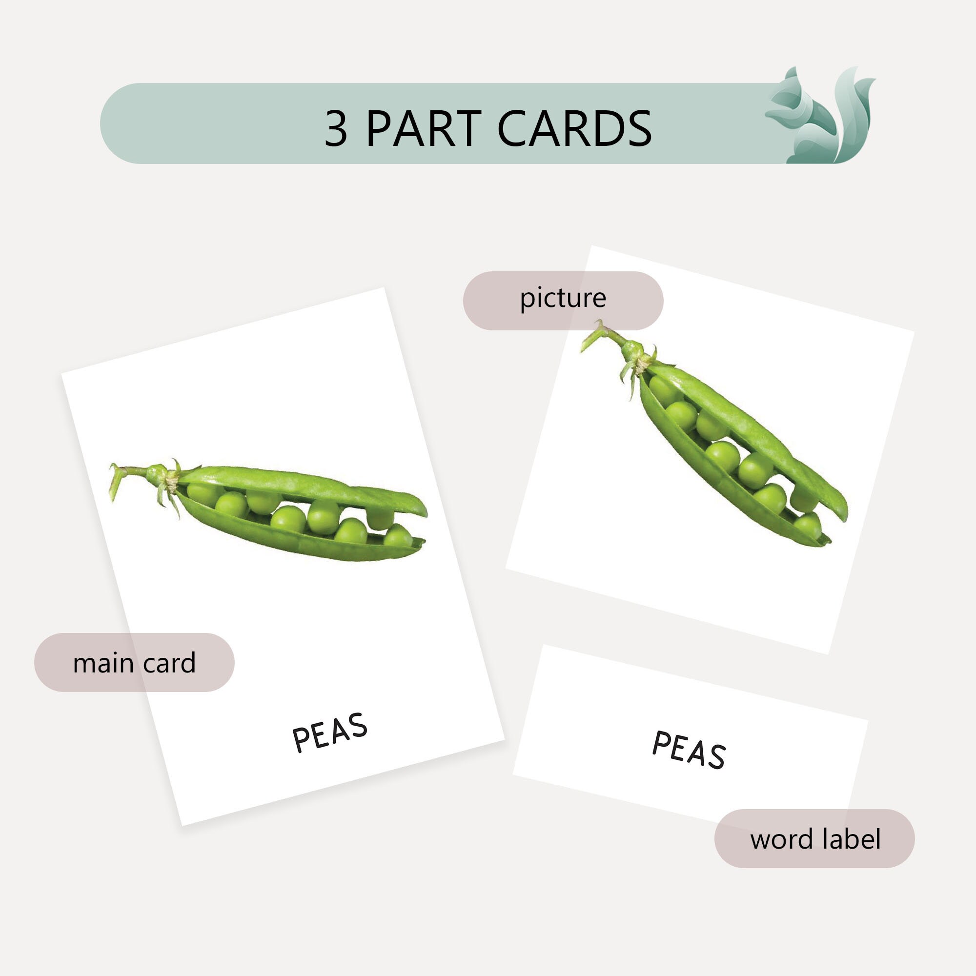 VEGETABLES Real Images -29 Editable Flash Cards, Montessori Cards ...