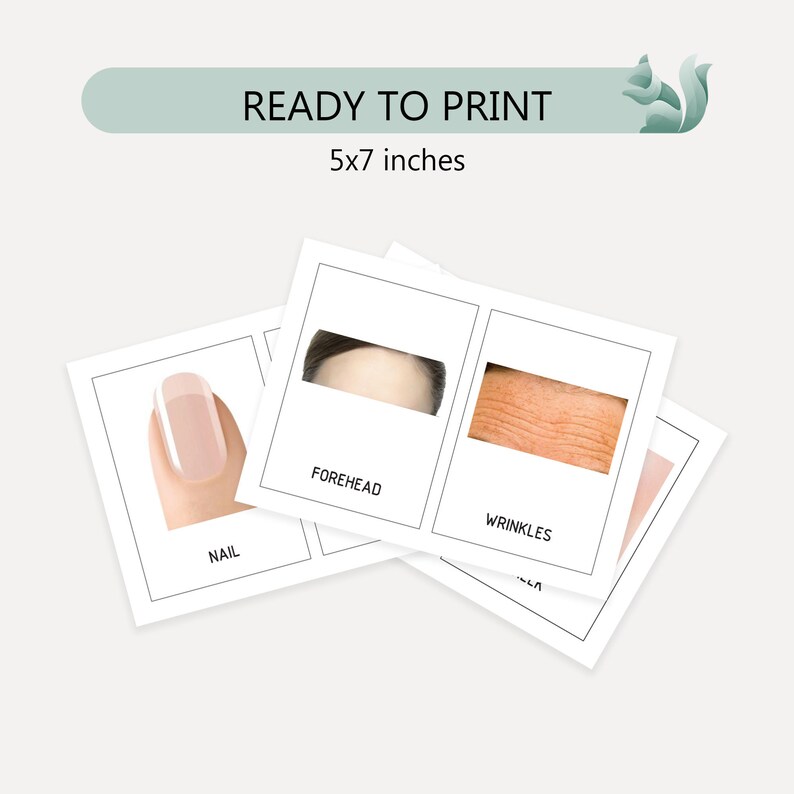 BODY PARTS Real Images - 46 Editable Flash Cards, Montessori Cards, Pre ...