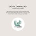 SCHOOL OBJECTS With Real Images - 53 Editable School Flash Cards ...