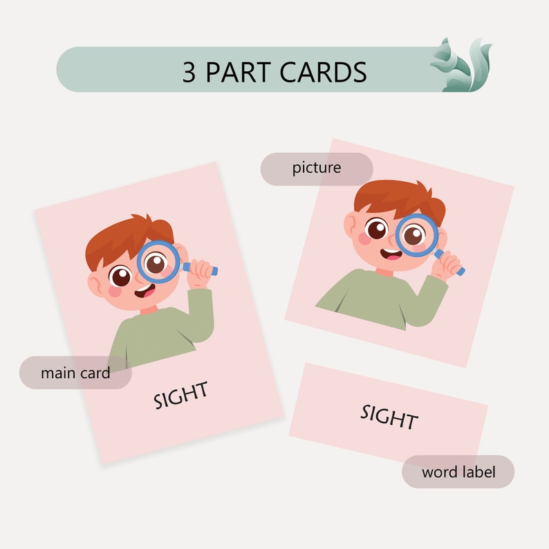 5 Senses of Human Body Chart, Editable Five Senses Recognition Cards ...