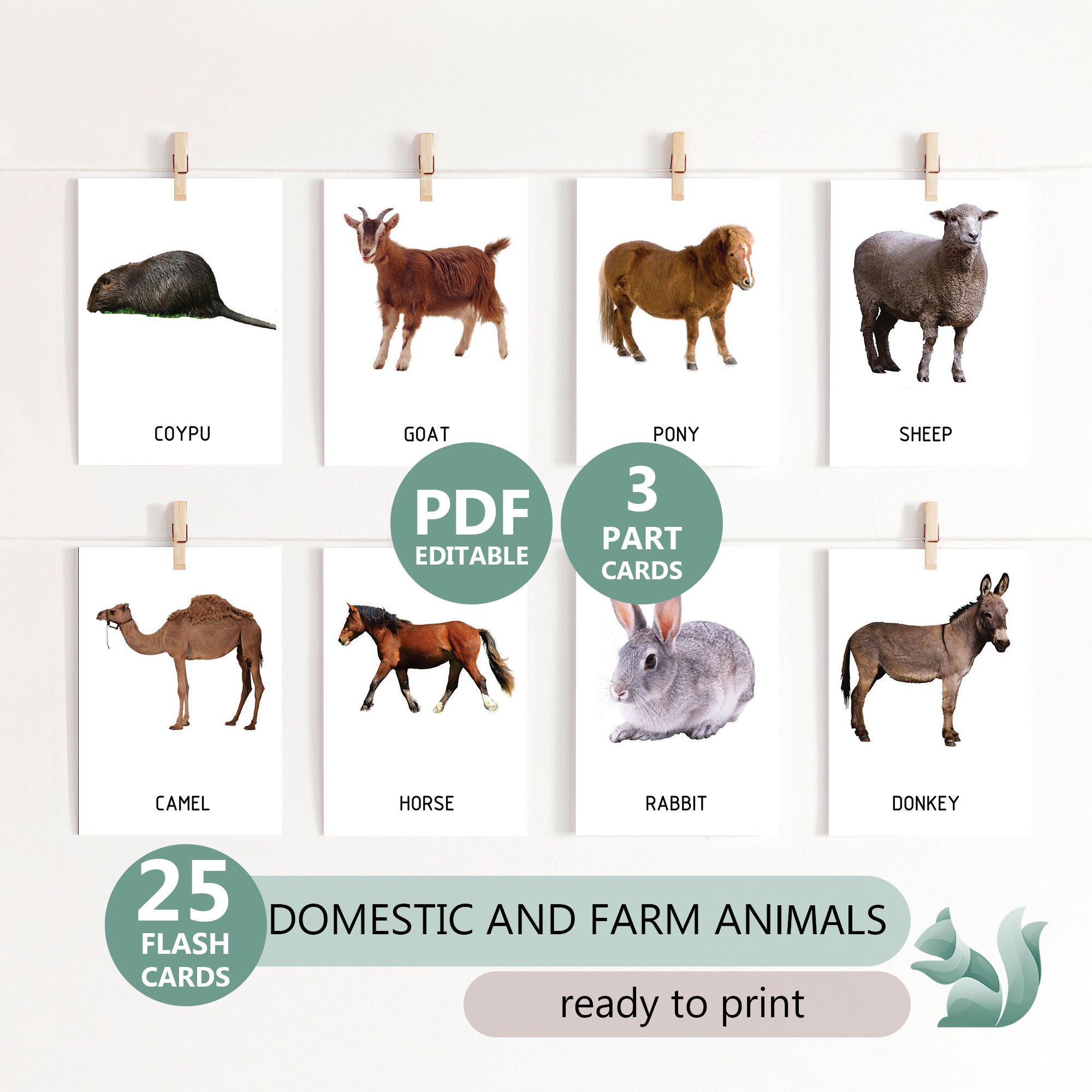 FARM ANIMALS Real Images, Nomenclature Animals Flashcards, 3 Part Cards ...