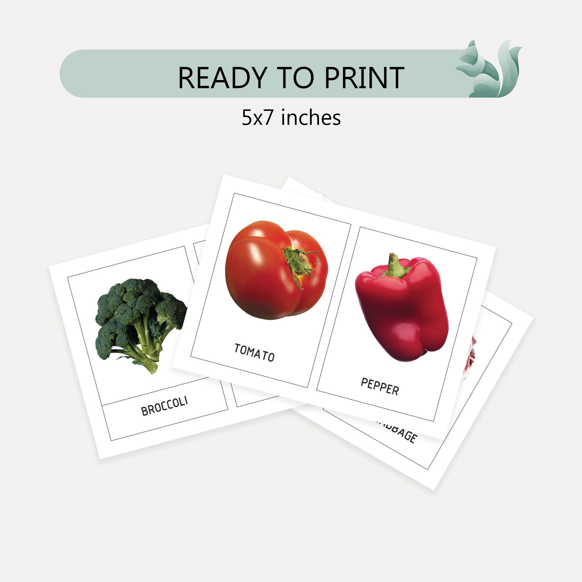 VEGETABLES Real Images -29 Editable Flash Cards, Montessori Cards ...