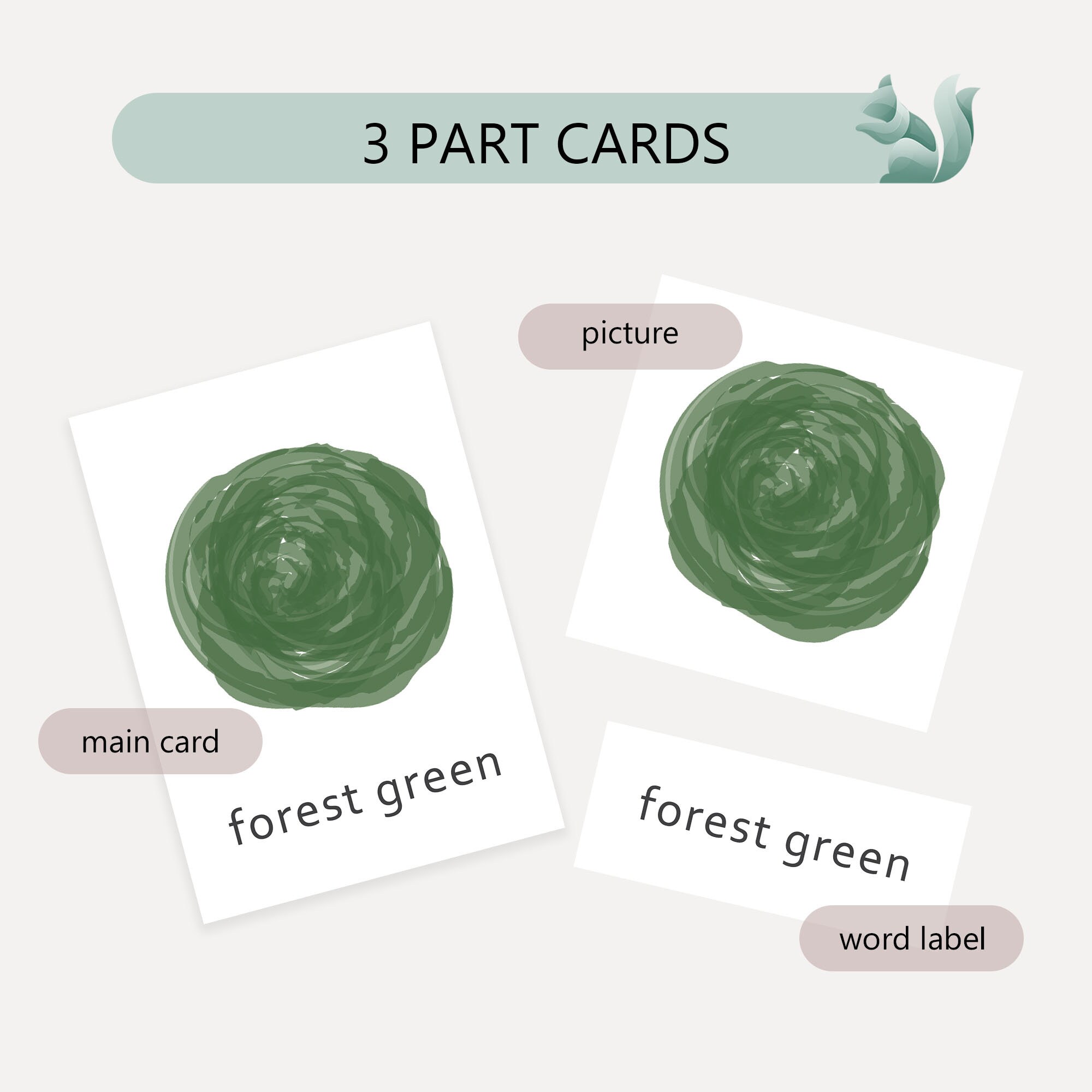 20 Color Cards, Montessori Flashcards, Pre-school Cards, Montessori ...