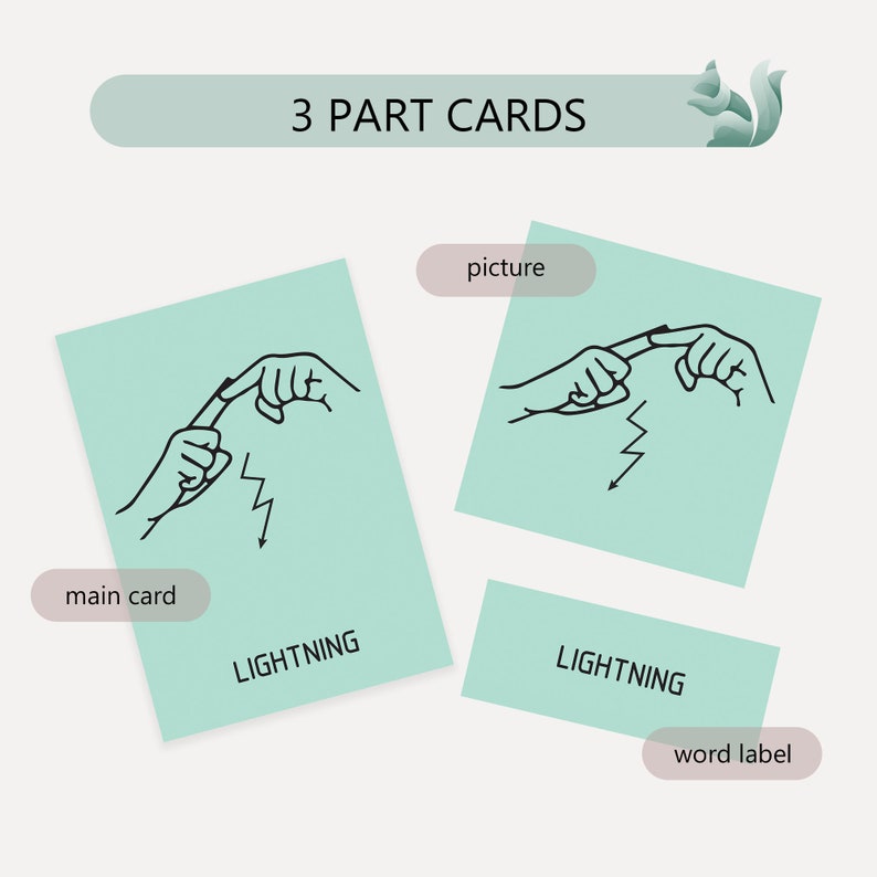 ASL WEATHER & SEASONS Flashcards, Baby Sign Language Weather Flashcards ...