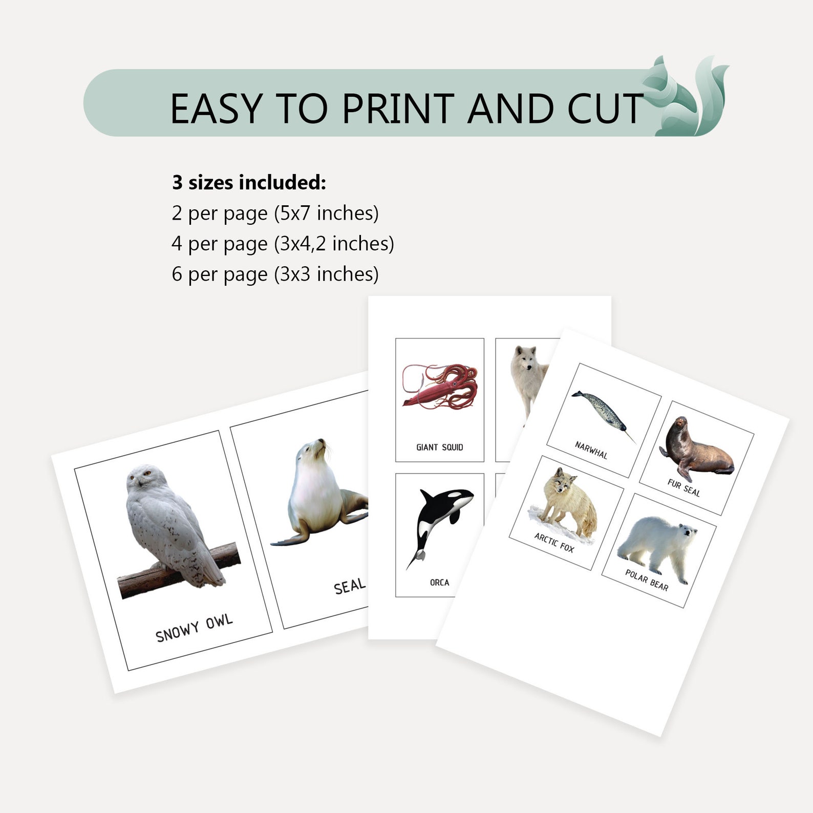 ARCTIC ANIMALS Real Images - 16 Editable Flash Cards, Educational ...