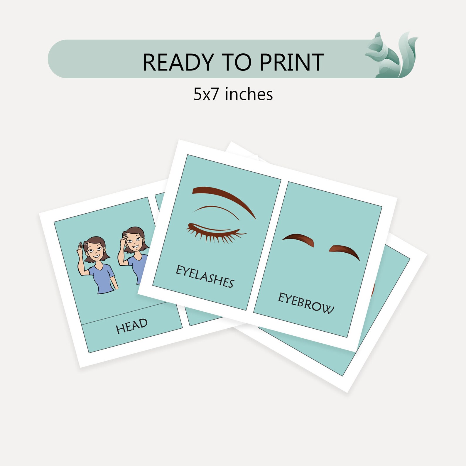 Body Parts Charts in Sign Language, American Sign Language Body Parts ...