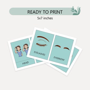 Body Parts Charts in Sign Language, American Sign Language Body Parts ...