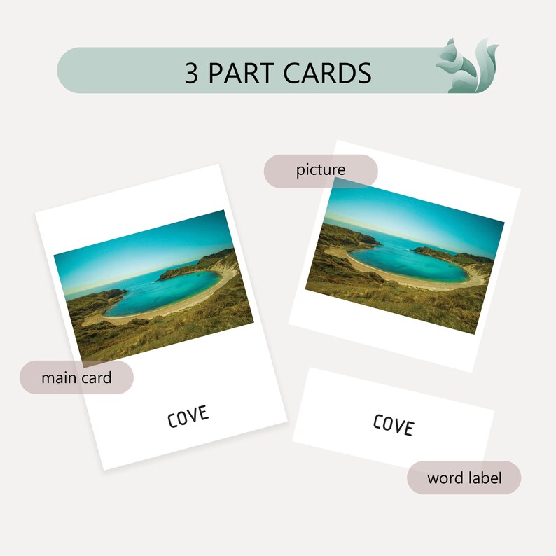 NATURE FLASHCARDS With Real Images - 82 Editable Solar System, Weather ...