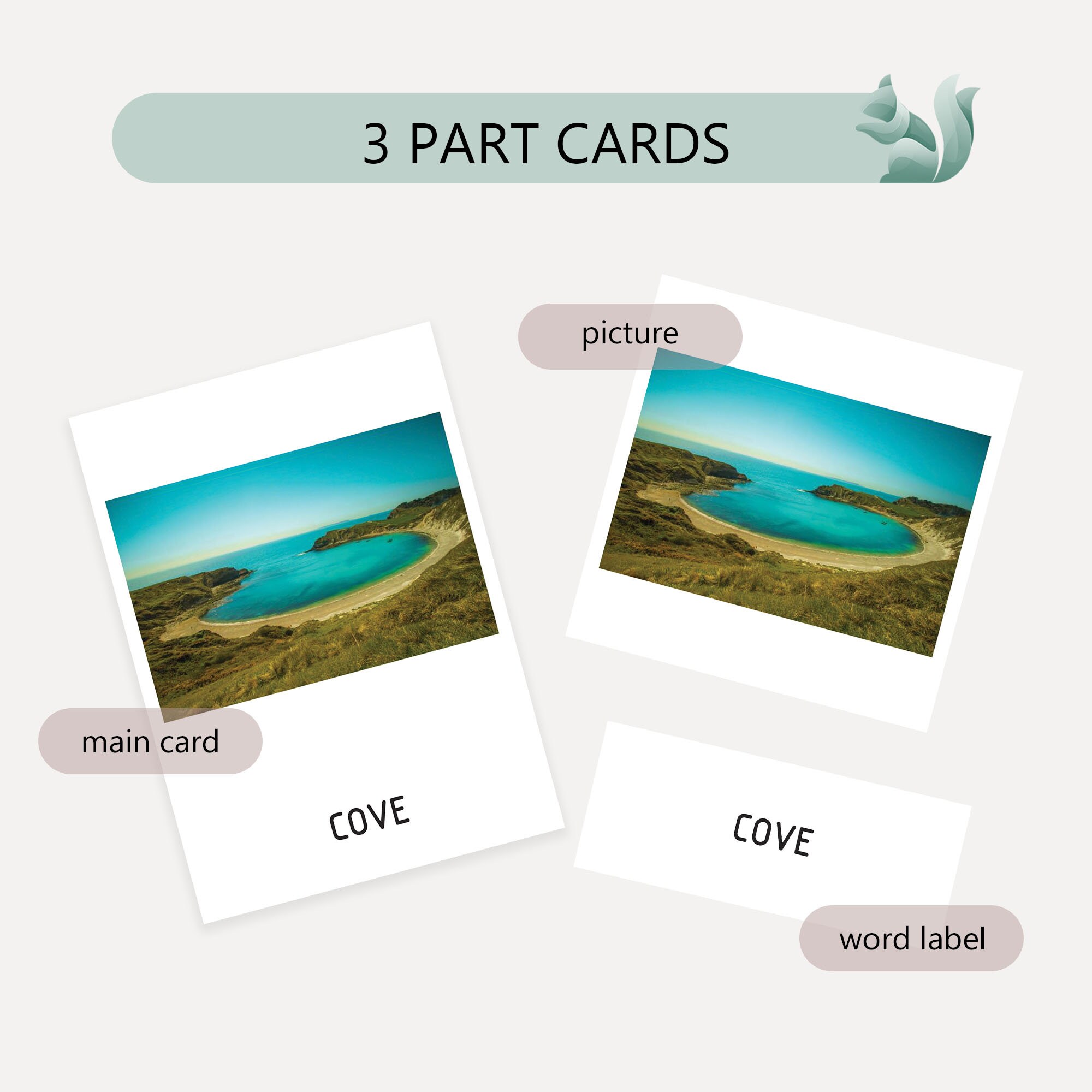 NATURE FLASHCARDS With Real Images - 82 Editable Solar System, Weather ...