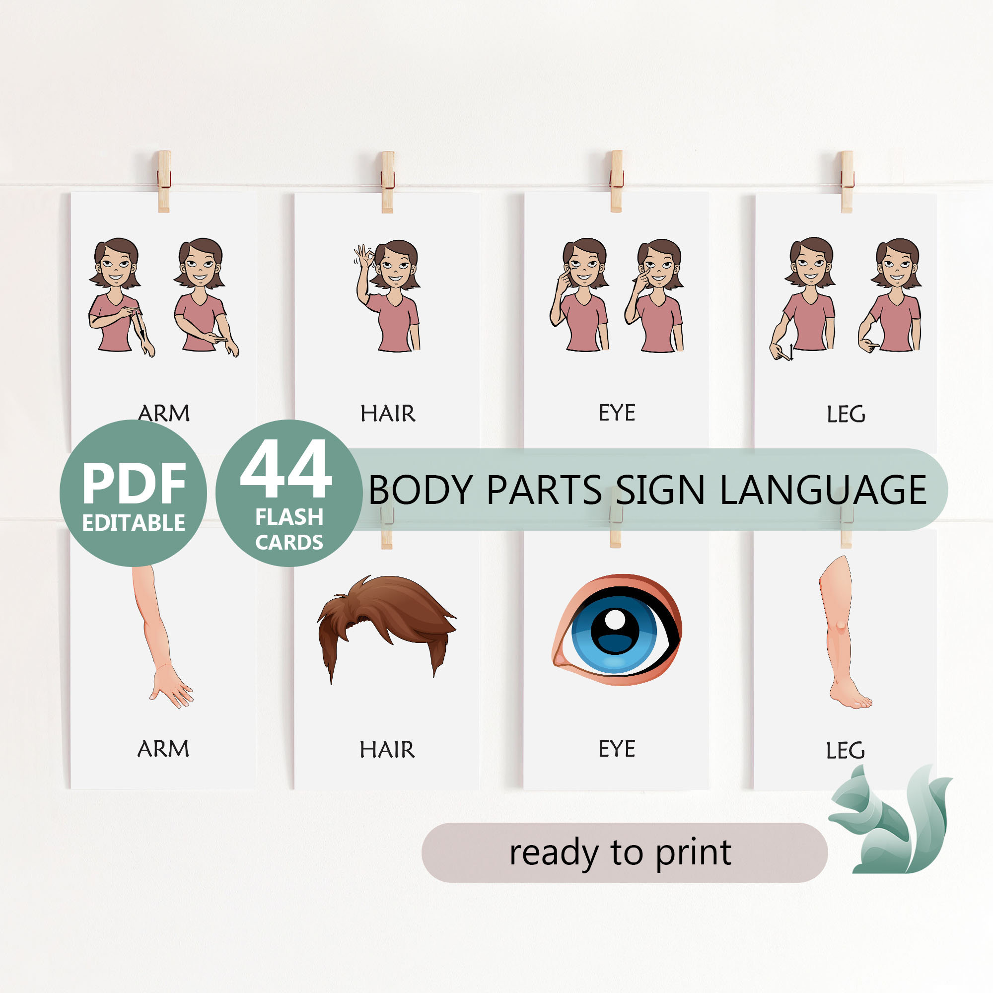 Body Parts Flashcards in American Sign Language, Educational ASL Body ...