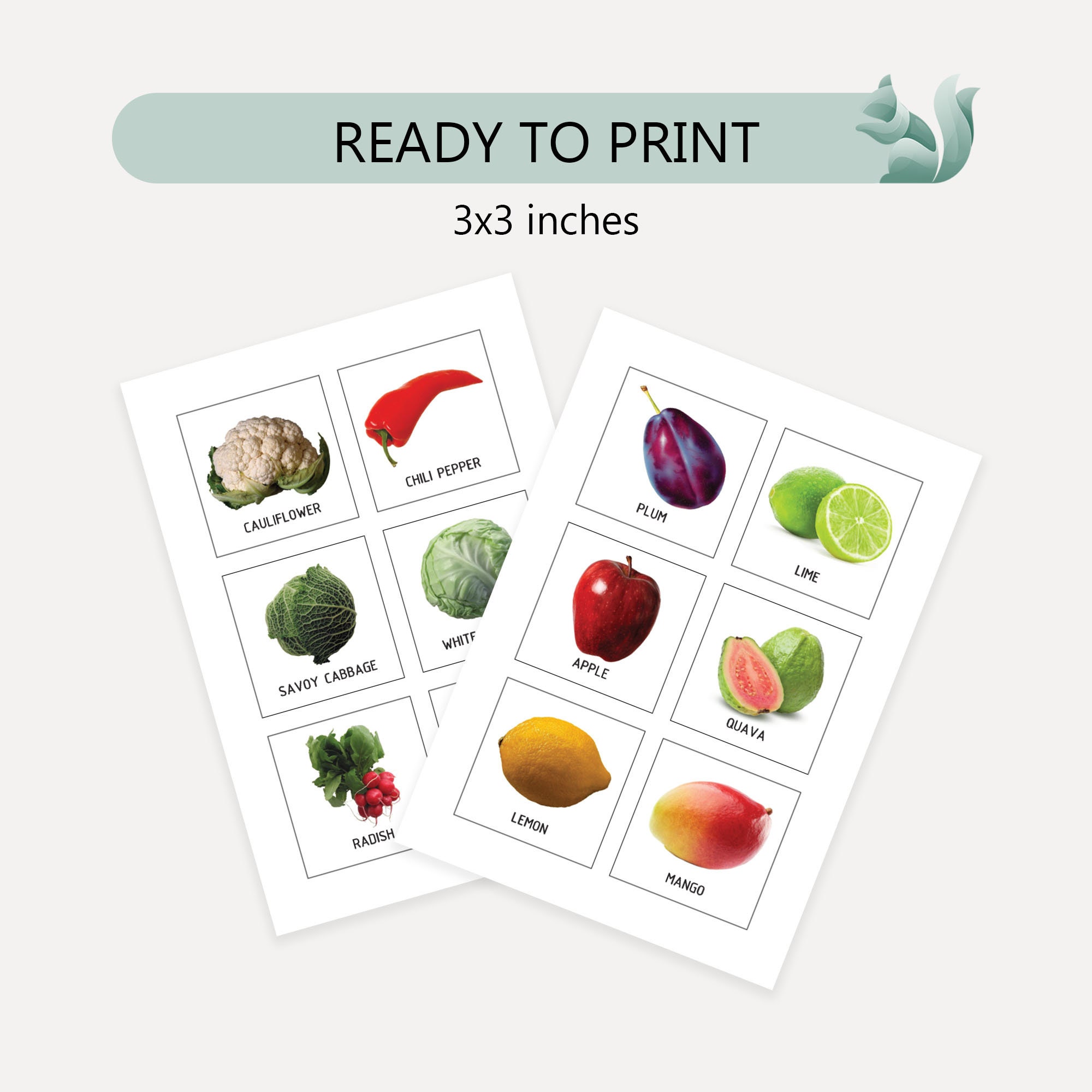 FRUITS & VEGETABLES Flash Cards With Real Images, Fruits Flash Cards ...