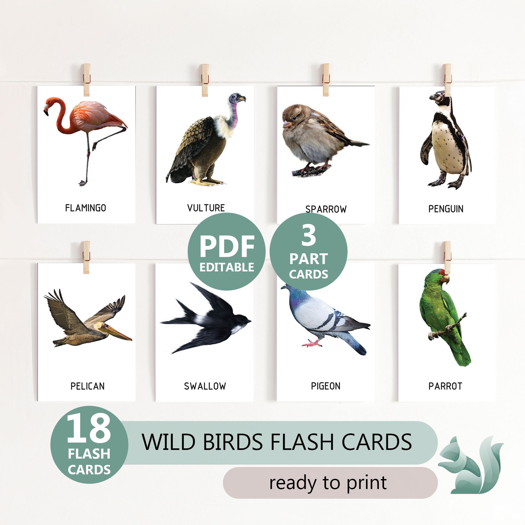 18 Free Wild Birds Flashcards In English Pdf Files Animals Theme