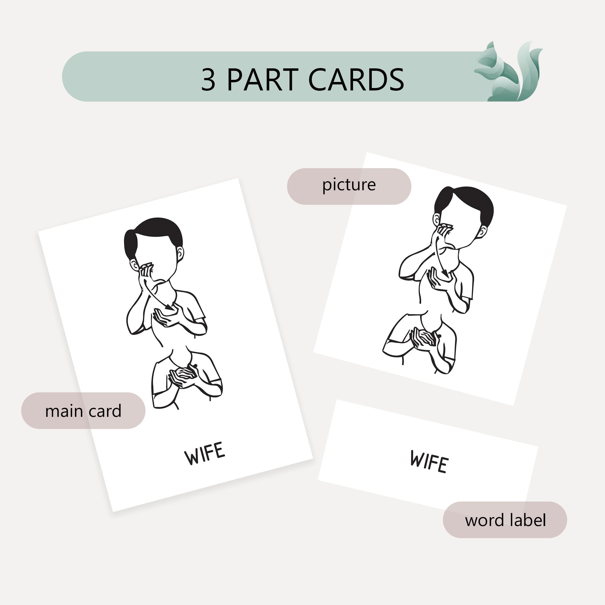 ASL Family Members & Stages Words, American Sign Language Family Signs ...