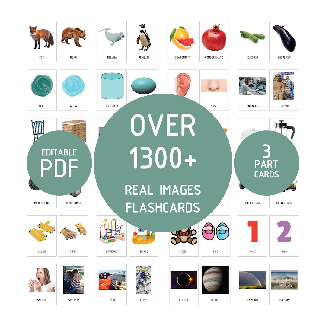 1300+ FLASHCARDS BUNDLE With Real Images - Preschool Homescholling ...
