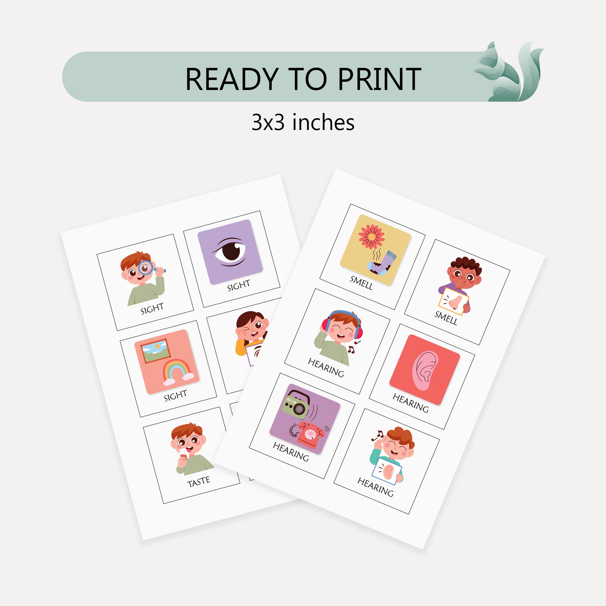 5 Senses Editable Flashcards, Printable Five Senses of Human Body ...
