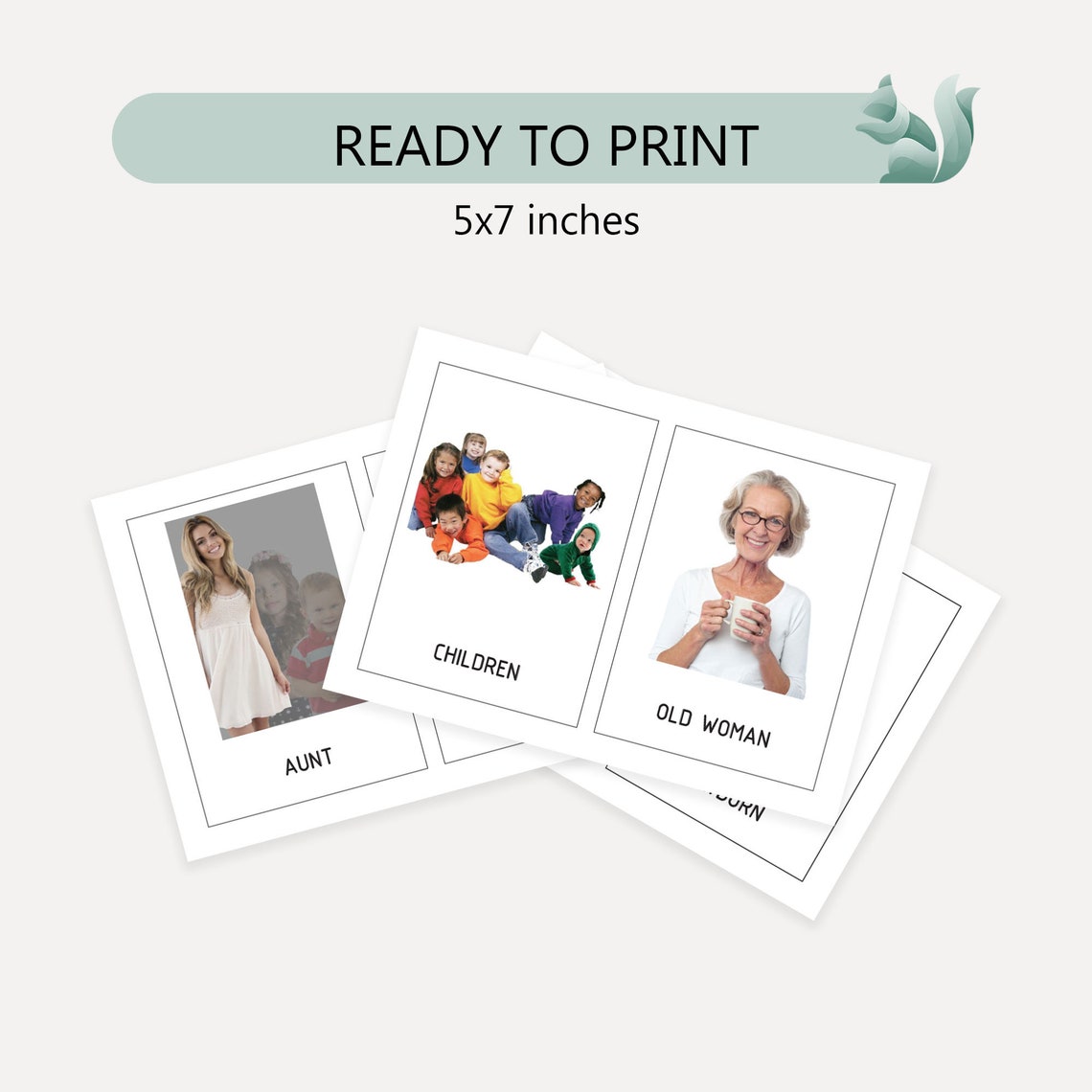 FAMILY MEMBERS & Stages Real Images Set - 44 Printable Flash Cards ...