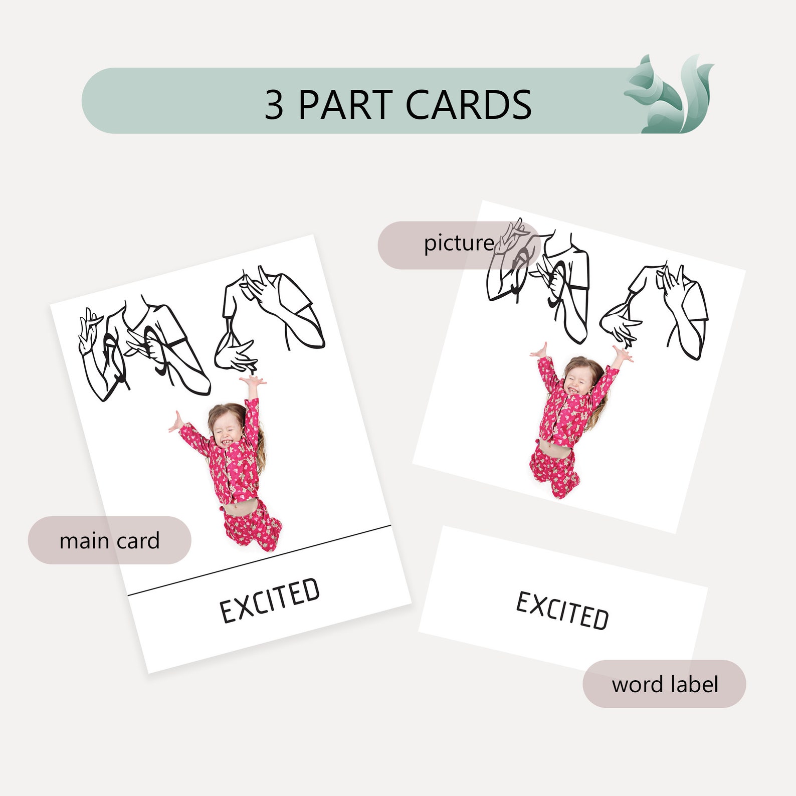 ASL PLAYTIME Sign Language Flash Cards, American Sign Language Playtime ...