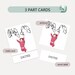 ASL PLAYTIME Sign Language Flash Cards, American Sign Language Playtime ...