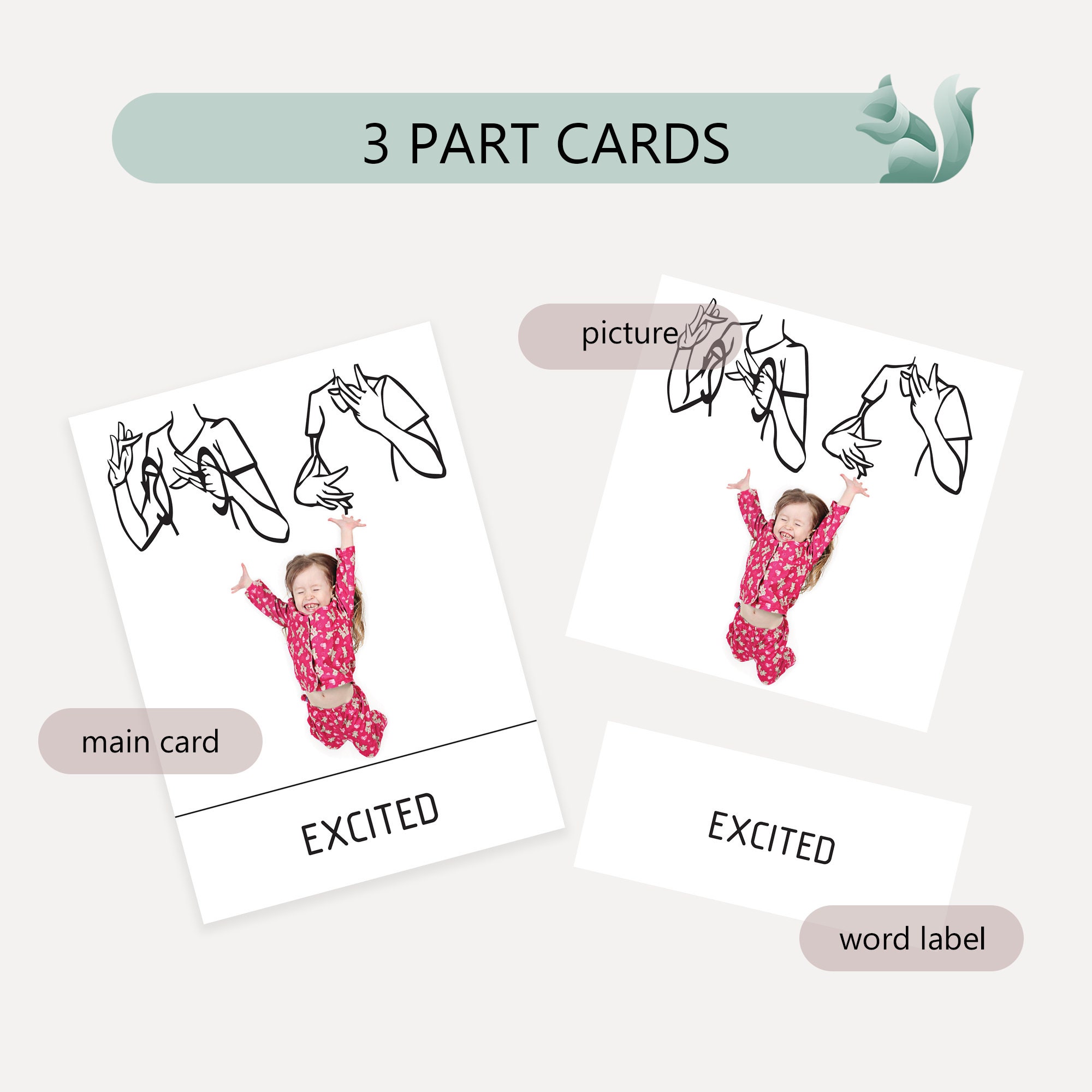 ASL PLAYTIME Sign Language Flash Cards, American Sign Language Playtime ...