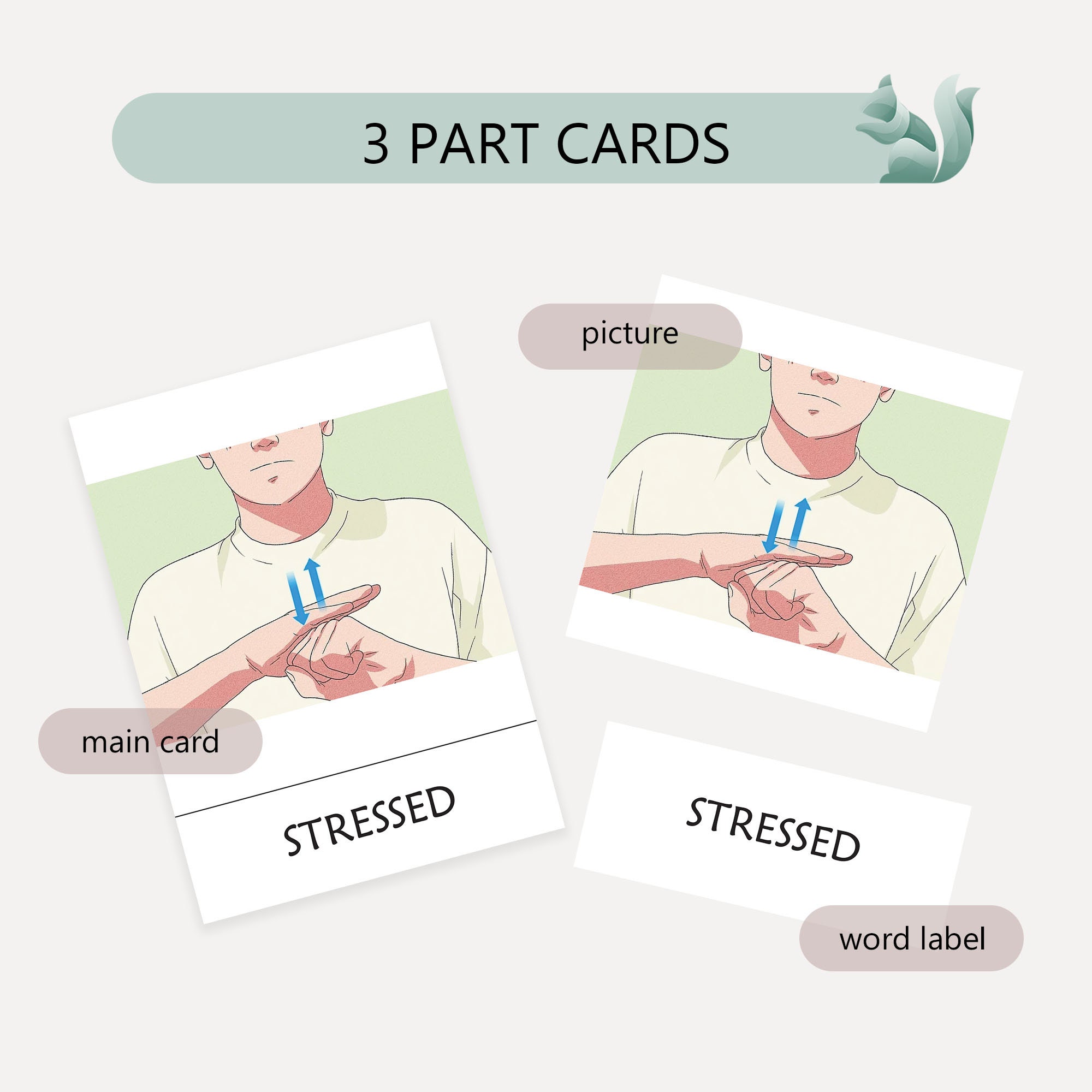 ASL Emotion Flashcards, American Sign Language Feelings Cards, Therapy ...
