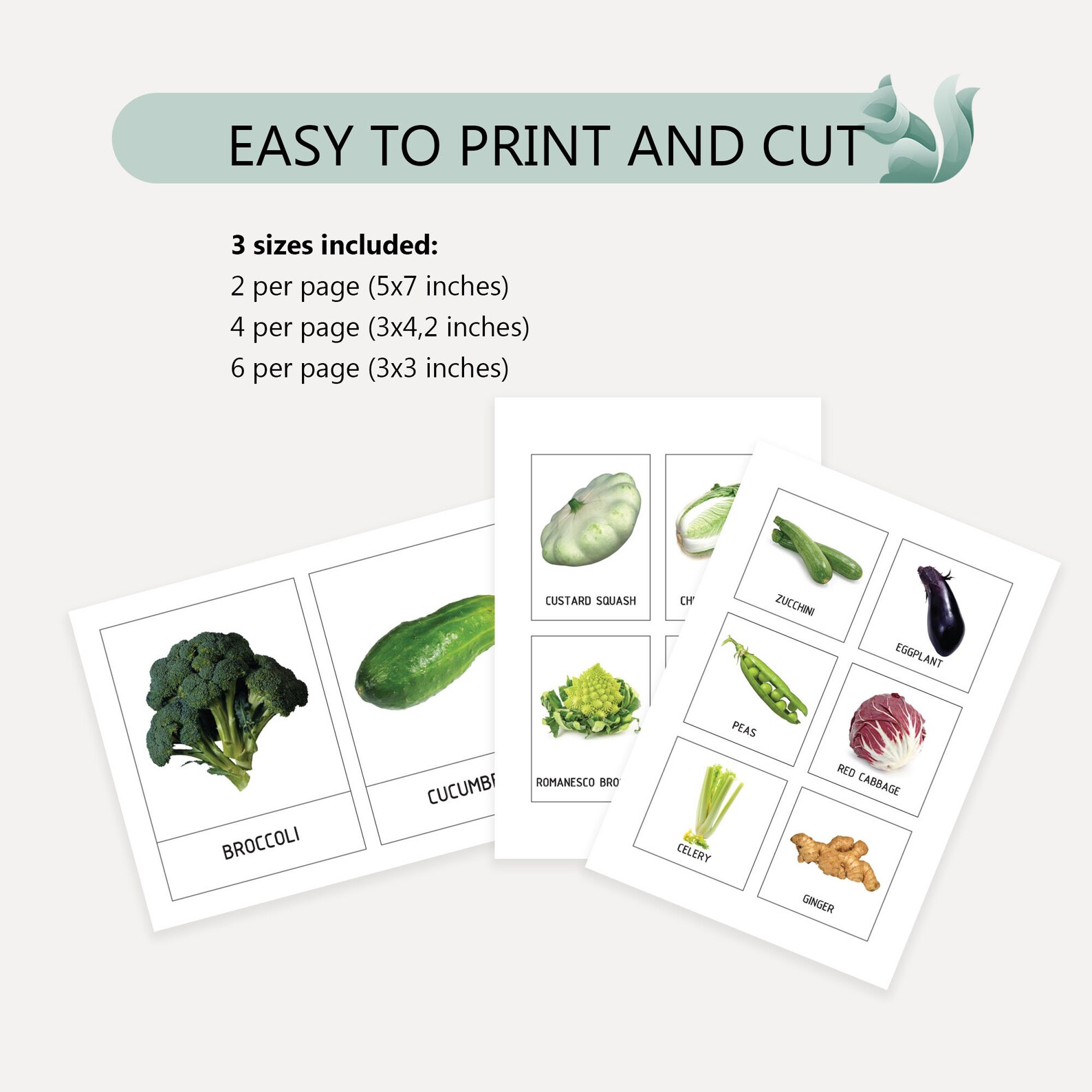 VEGETABLES Real Images -29 Editable Flash Cards, Montessori Cards ...