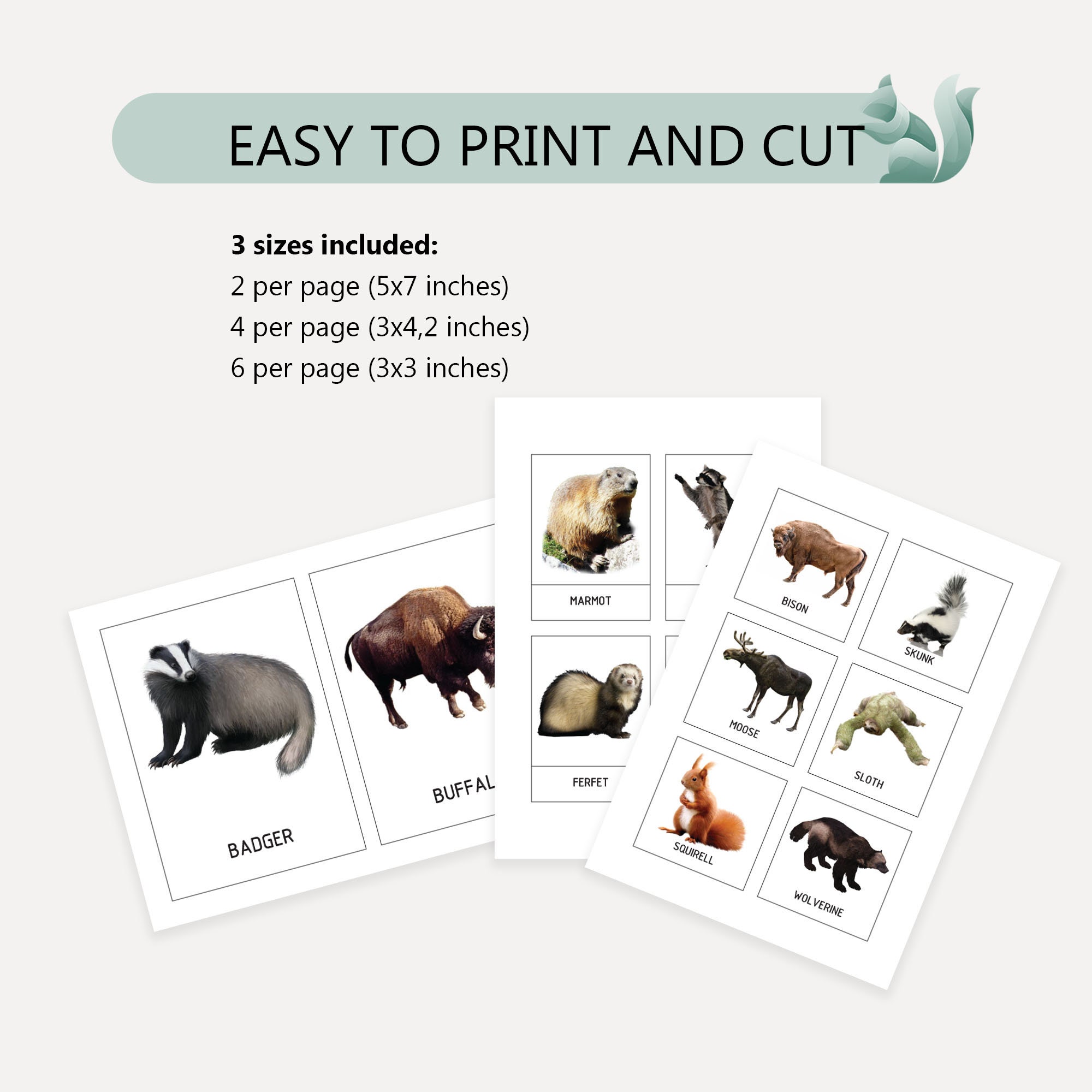 FOREST ANIMALS Flash Cards, Jungle Animals Flashcards, Safari Animals ...
