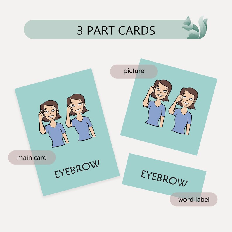 Body Parts Charts in Sign Language, American Sign Language Body Parts ...