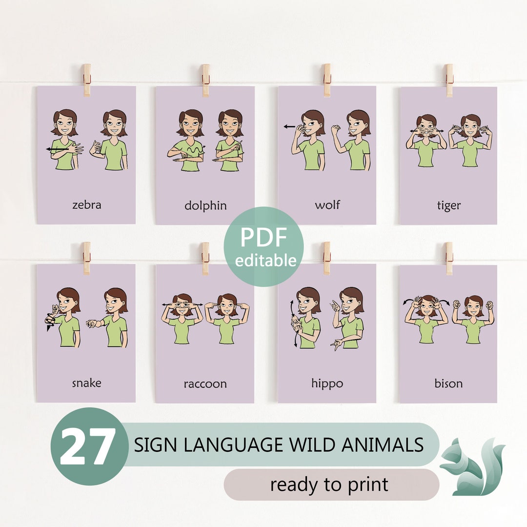Baby Sign Language Animals Flash Cards, American Sign Language Wild ...