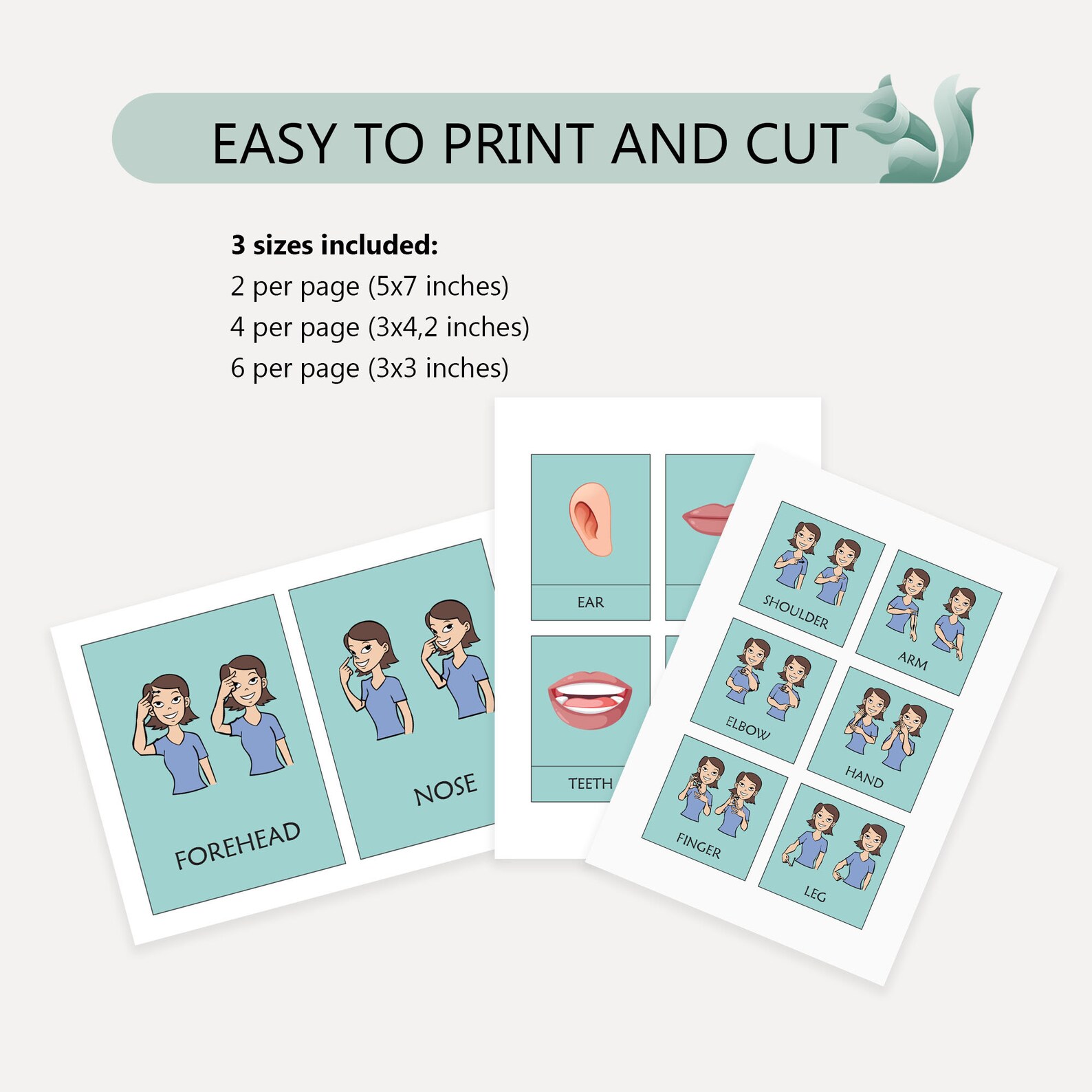 Body Parts Charts in Sign Language, American Sign Language Body Parts ...