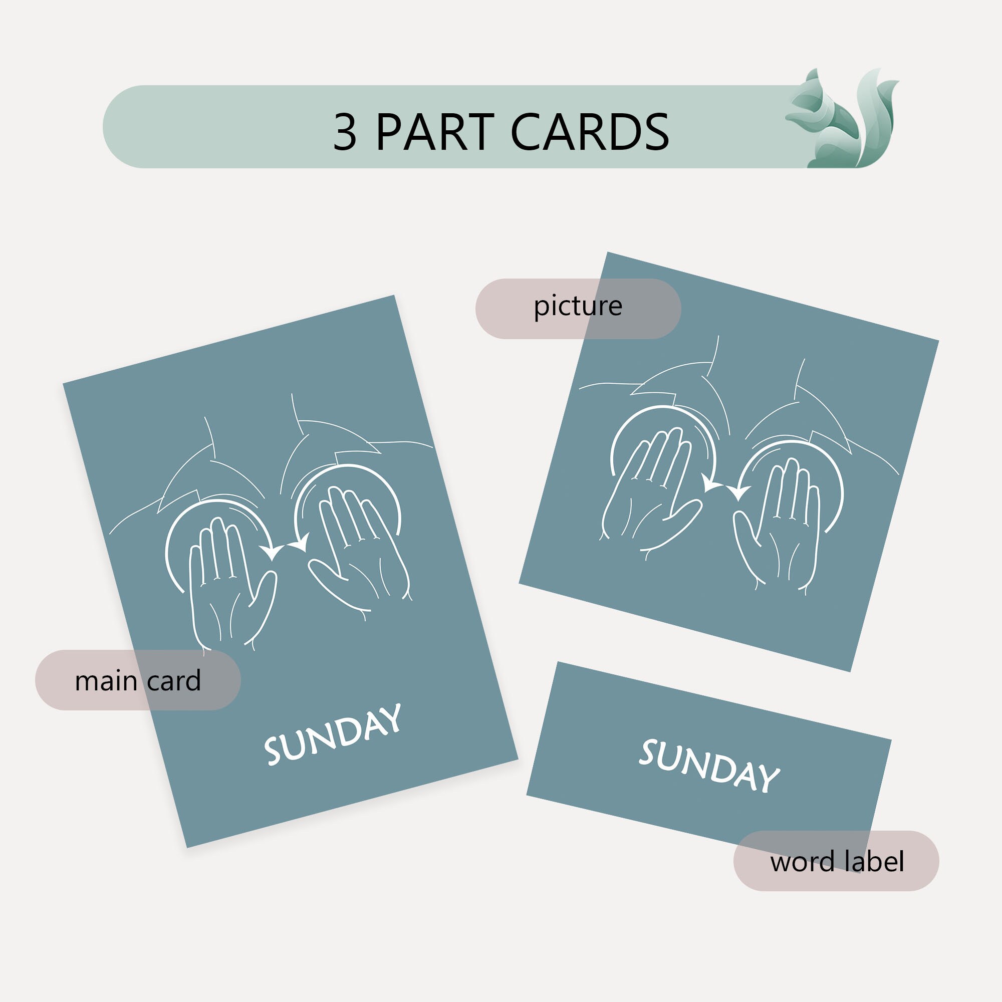 Sign Language Days of the Week, American Sign Language Days Flashcards ...
