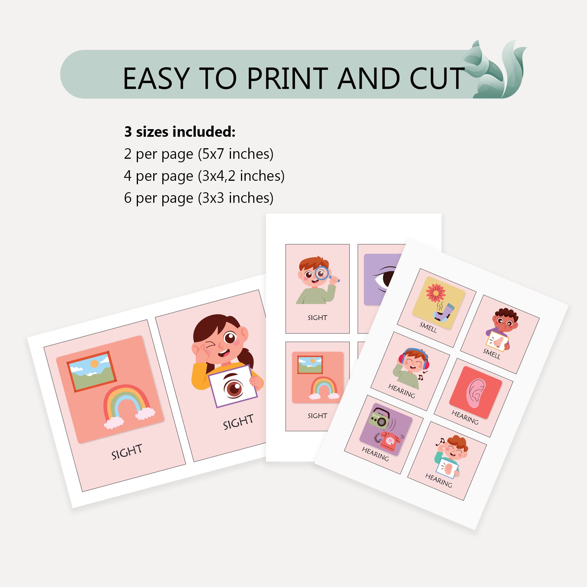 5 Senses of Human Body Chart, Editable Five Senses Recognition Cards ...