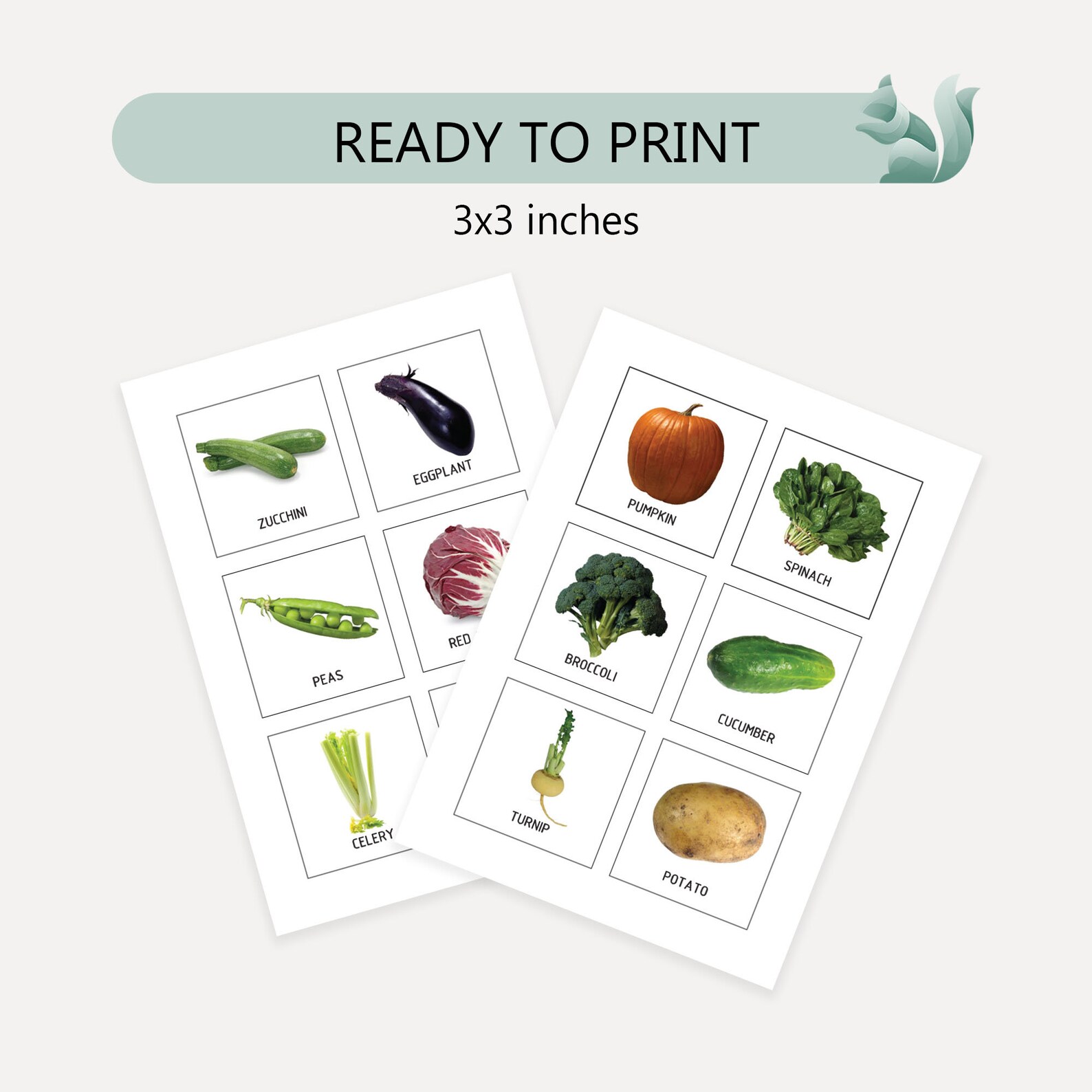 VEGETABLES Real Images -29 Editable Flash Cards, Montessori Cards ...