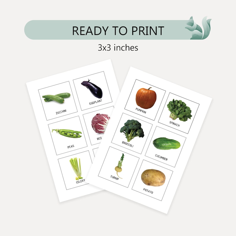VEGETABLES Real Images -29 Editable Flash Cards, Montessori Cards ...