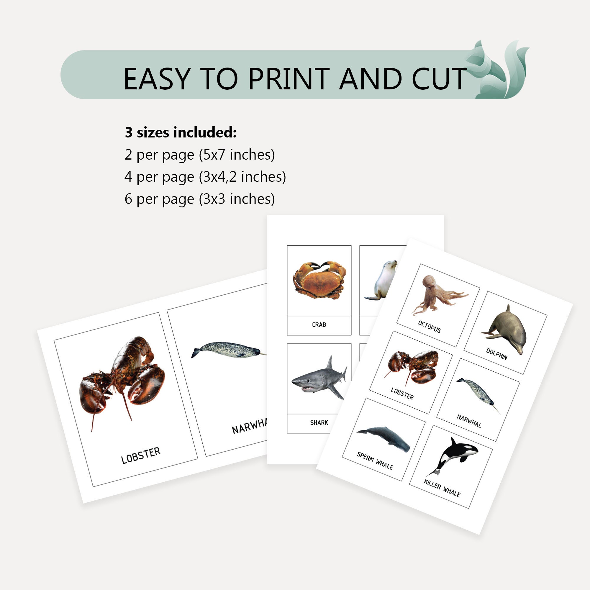 OCEAN ANIMALS Real Images - 30 Printable Flash Cards, Nomenclature ...