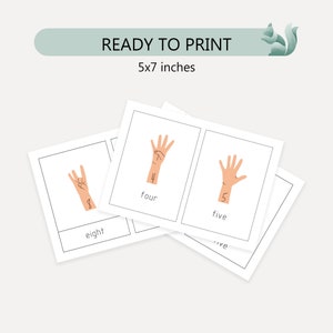 ASL Numbers Flashcards 0-10 for Learning, American Sign Language ...