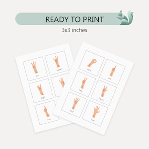 ASL Numbers Flashcards 0-10 for Learning, American Sign Language ...