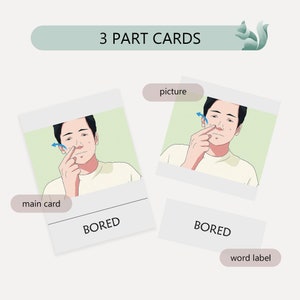 Feelings Flashcards in ASL, American Sign Language Emotions Cards ...