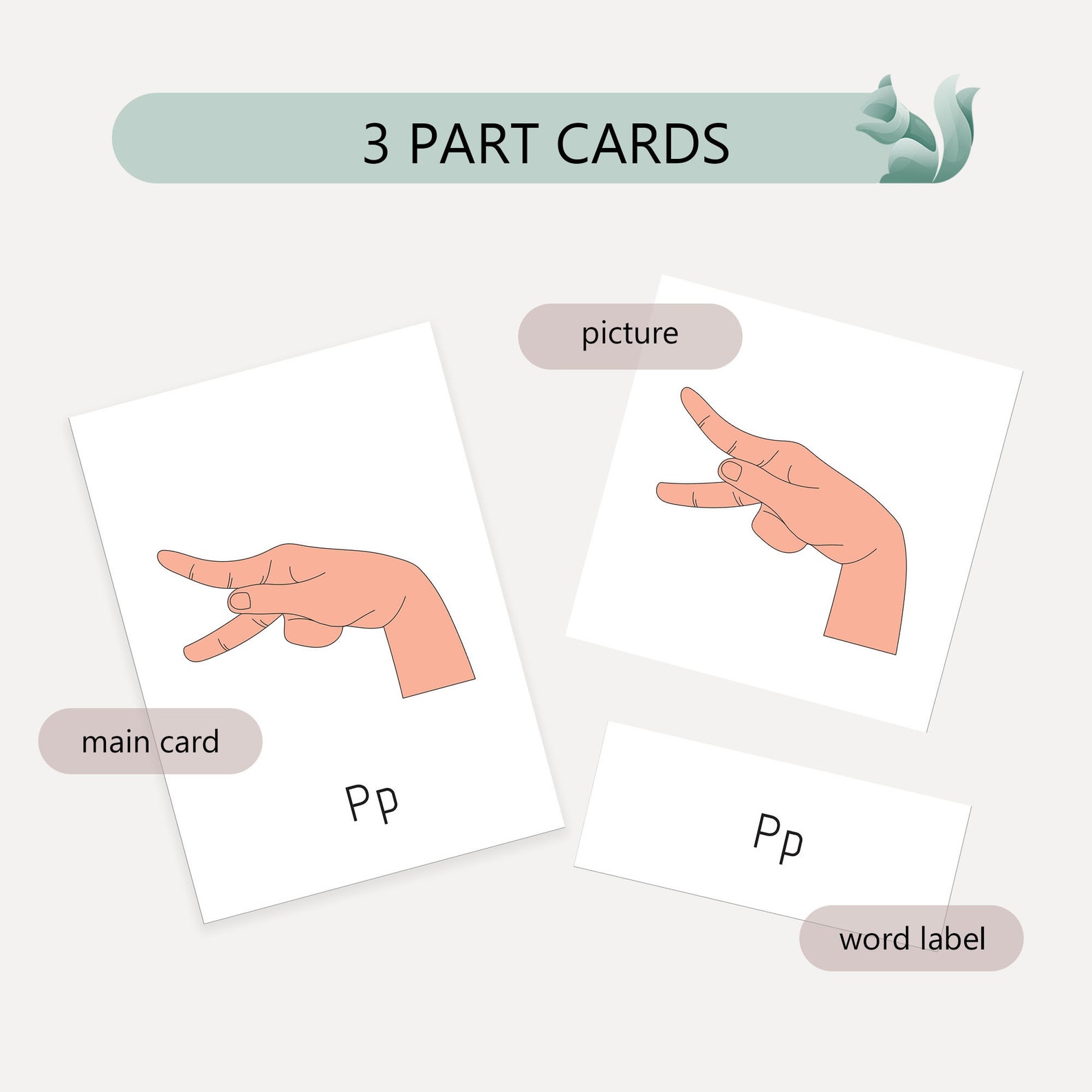 ASL Alphabet - Numbers Flashcards Set of 2, American Sign Language ABC ...