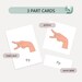 ASL Alphabet - Numbers Flashcards Set of 2, American Sign Language ABC ...