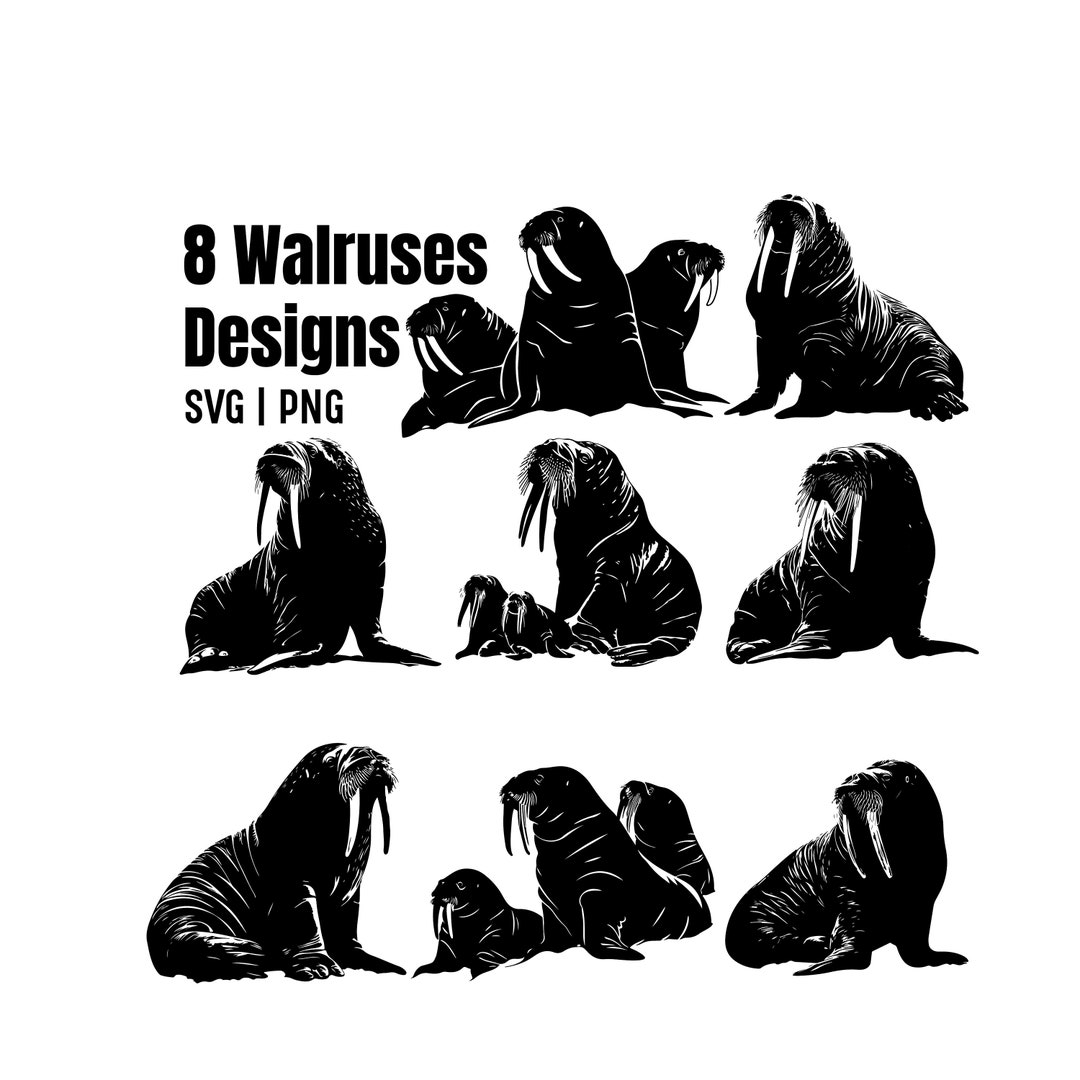 8 Walruses SVG Bundle,walruses Cut File,fin Walruses Svg,png,svg,vector ...